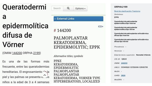 Genodermatología, una aplicación que favorece la atención de los ...